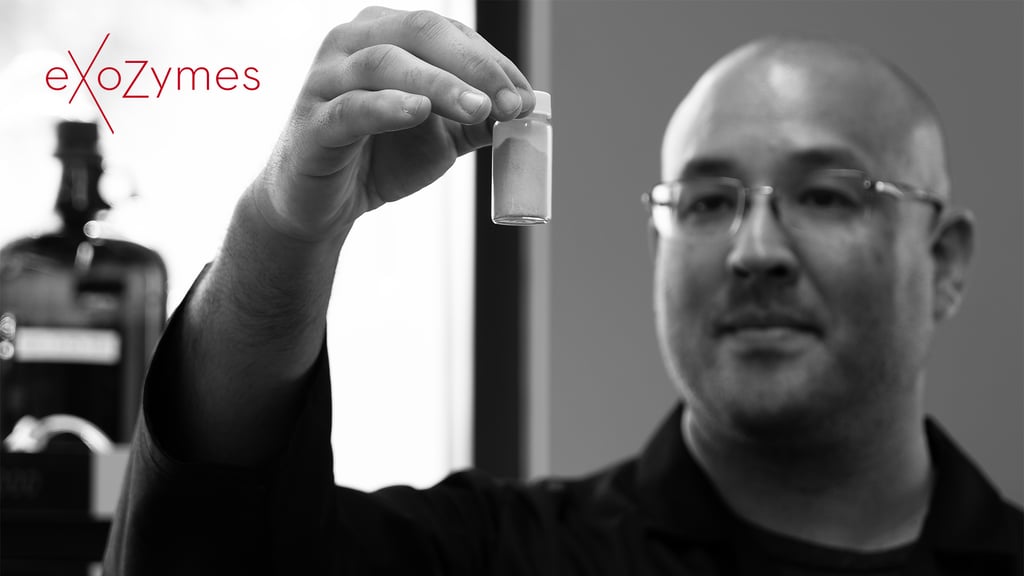 The challenges of SynBio